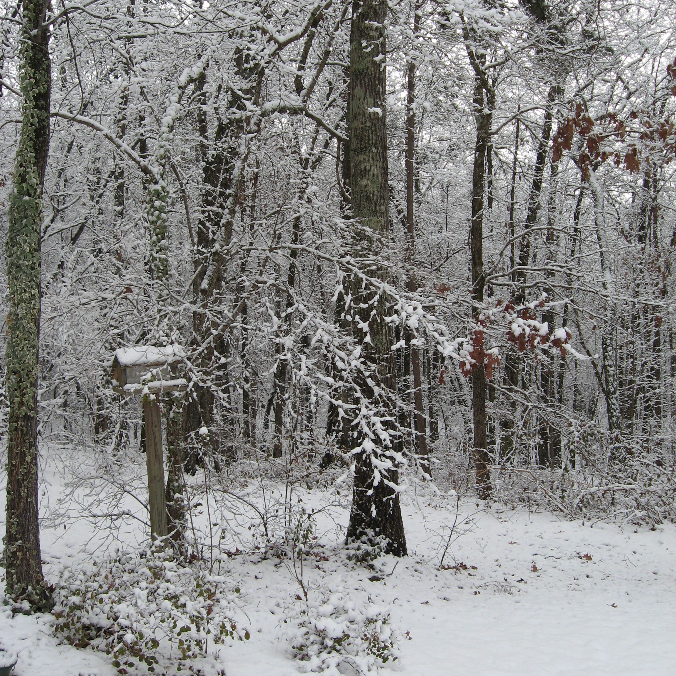 A Cold, Dreary, Lazy January — My Widowed Heart